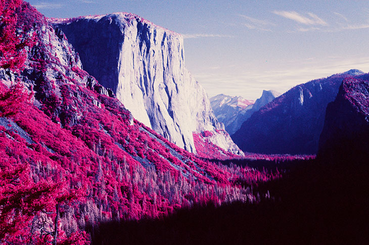 Infrared Film Photography - IR Film How To, Tips & Filters - The Darkroom