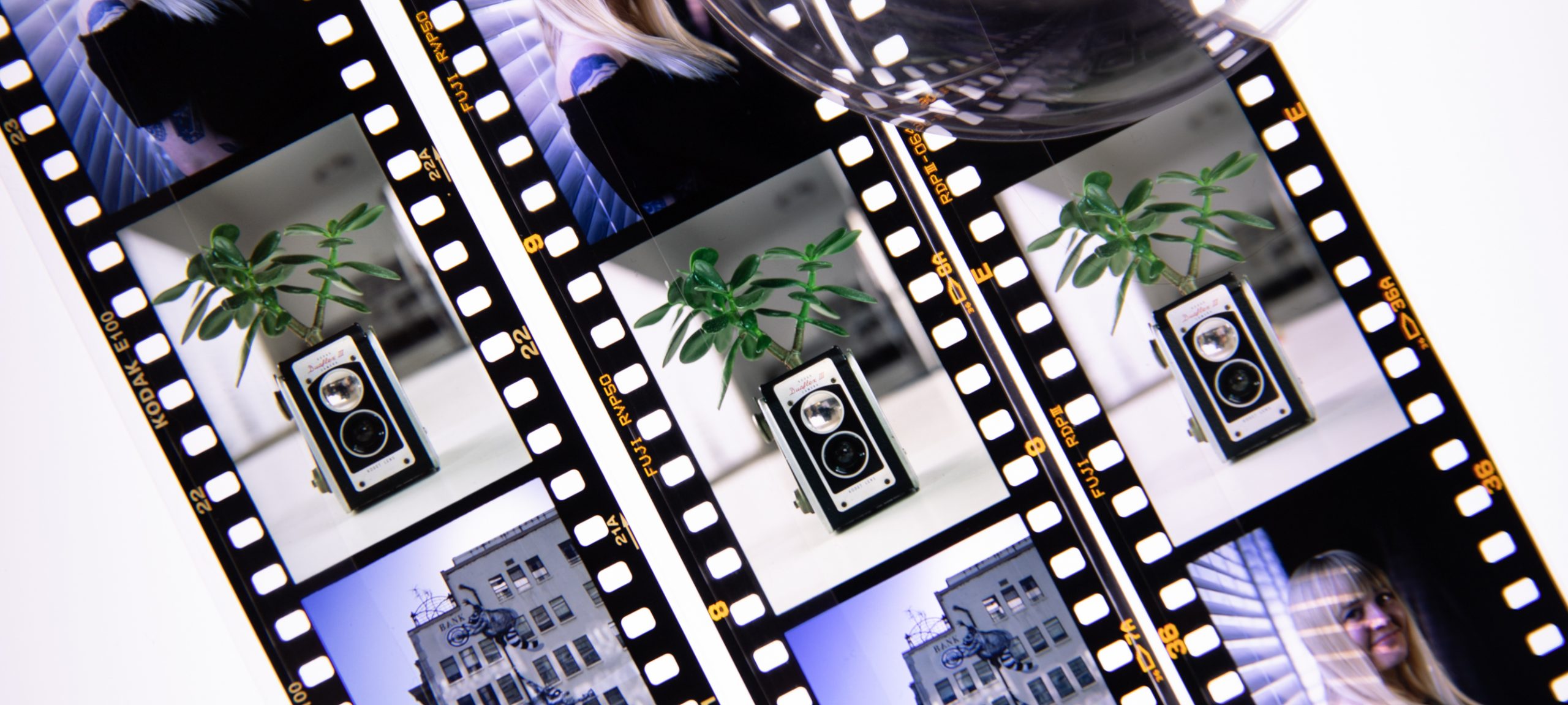 Ektachrome is Back. A comparison of Ektachrome vs. FujiFilm slide film