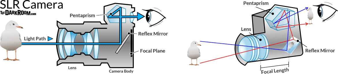 Rangefinder vs SLR Cameras, pros and cons of each style of camera - The Darkroom